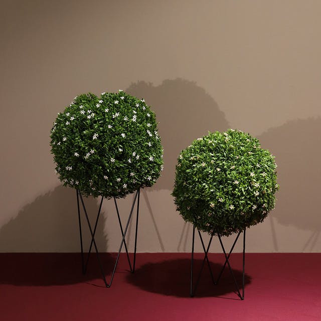 Bosso artificiale Marfil 33 cm Naturing Monde | METRO