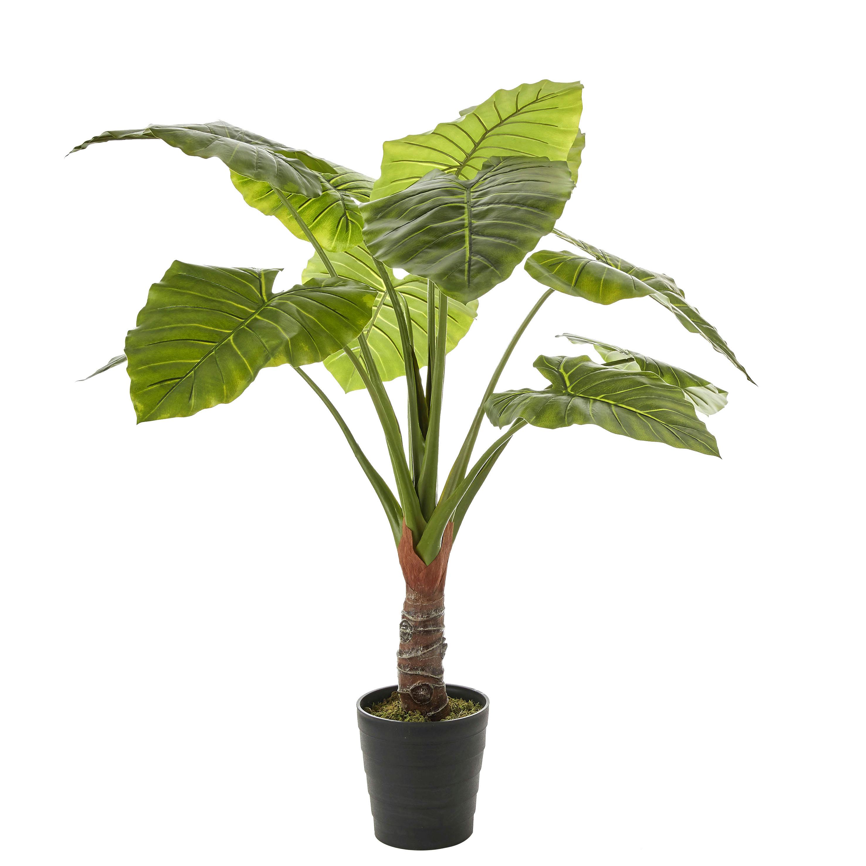 Taro in plastic pot groen - h130xd110cm | Makro