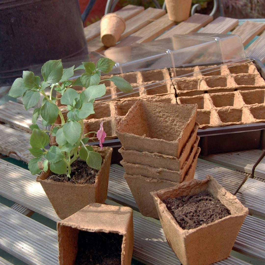 Growing pot maceta compostable GROWING POT (20) 6x6cm NATURAL | Makro