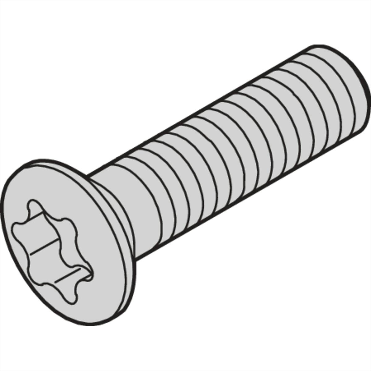 SCHROFF Kruiskopschroef, Torx, zelfvormend, staal verzinkt, M2,5 x 10 ...