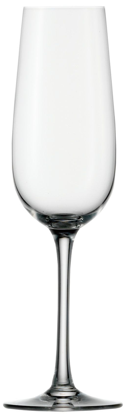 METRO Professional Flûte à champagne Aveiro, verre en cristal, 20 cl, 6 ...