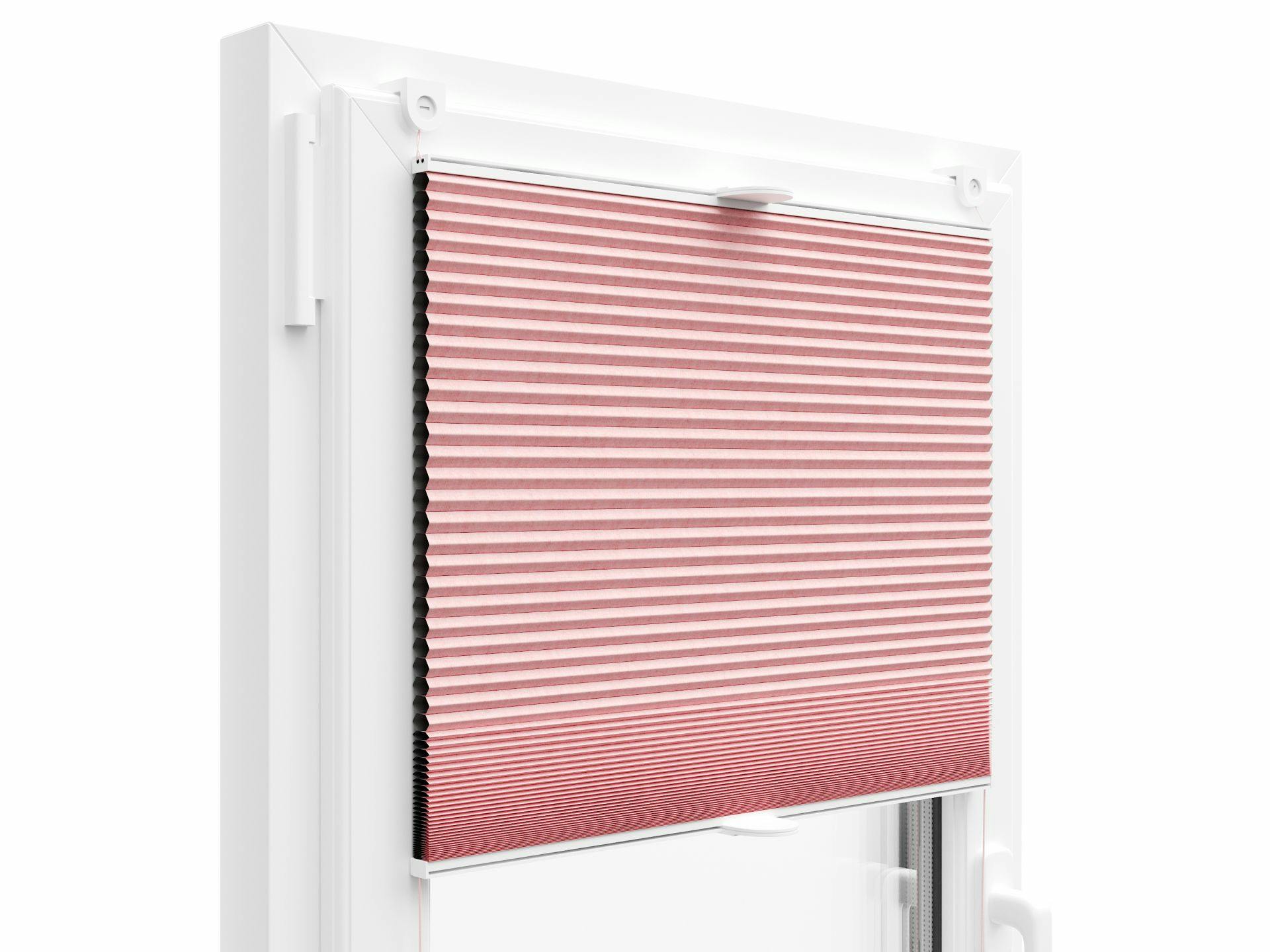 THERMO WABENPLISSEE 100% VERDUNKELND FALTROLLO JALOUSIE (Rosa PM06 ...