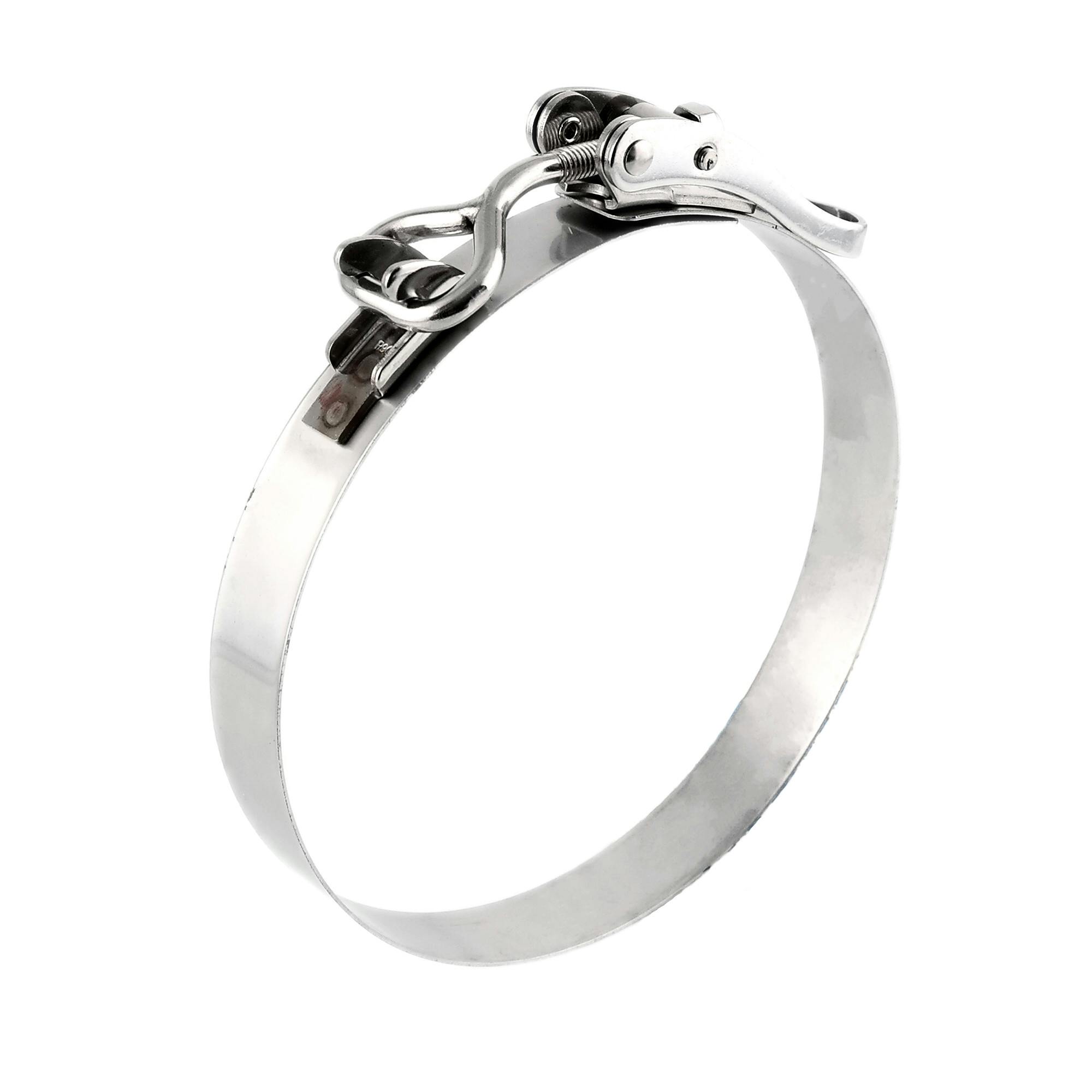 Schnell-Spannschelle Edelstahl mit Hebel 25mm breit, Durchmesser (innen ...