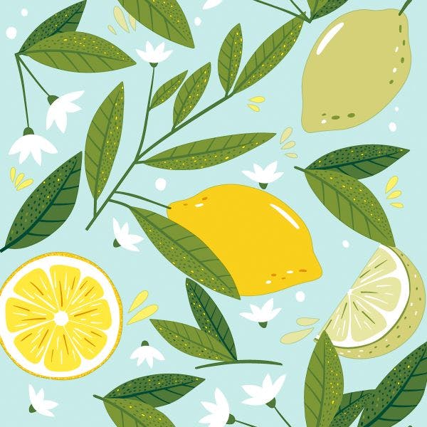 240 Duni Tissue-Servietten 33 x 33 cm Lemon Tree 3-lagig | METRO