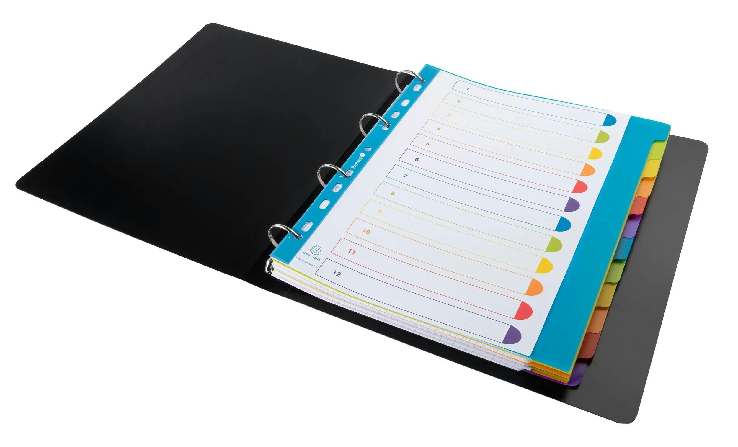 Exacompta 3812E 15x Register mit farbigen Taben aus PP 300µ, 12-teilig ...