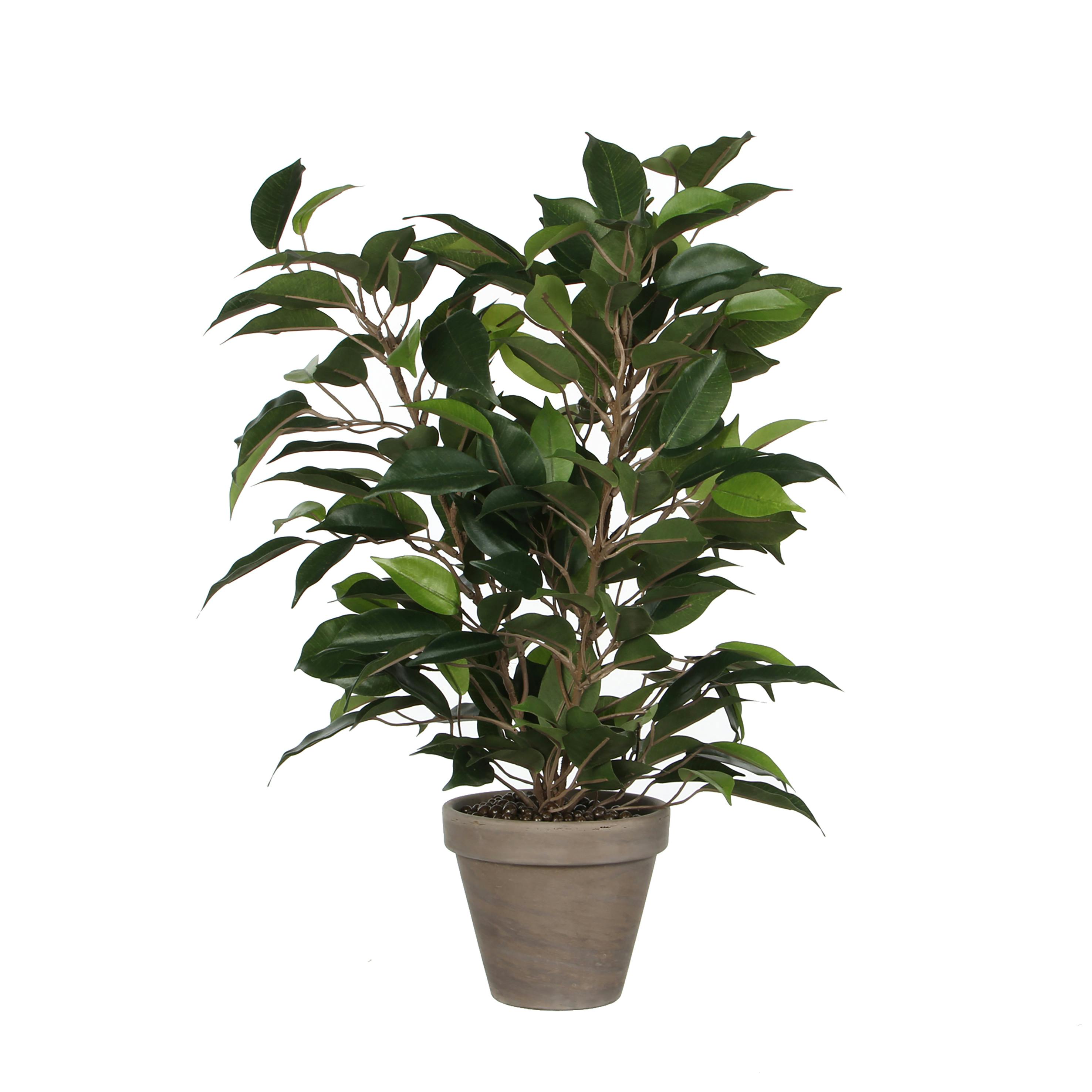Ficus Natasja Kunstplant in Pot Stan 40 x 30 cm Groen | Makro