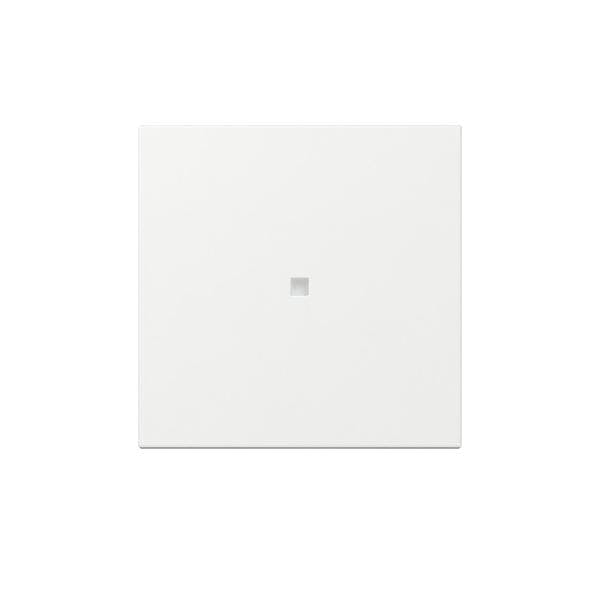 Gira Wippe gerade Kontrollf. 349003 | METRO